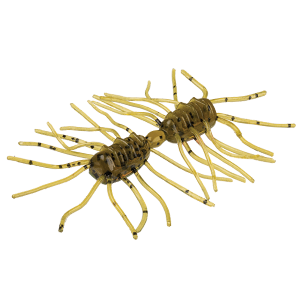 Strike King Sexy Bug