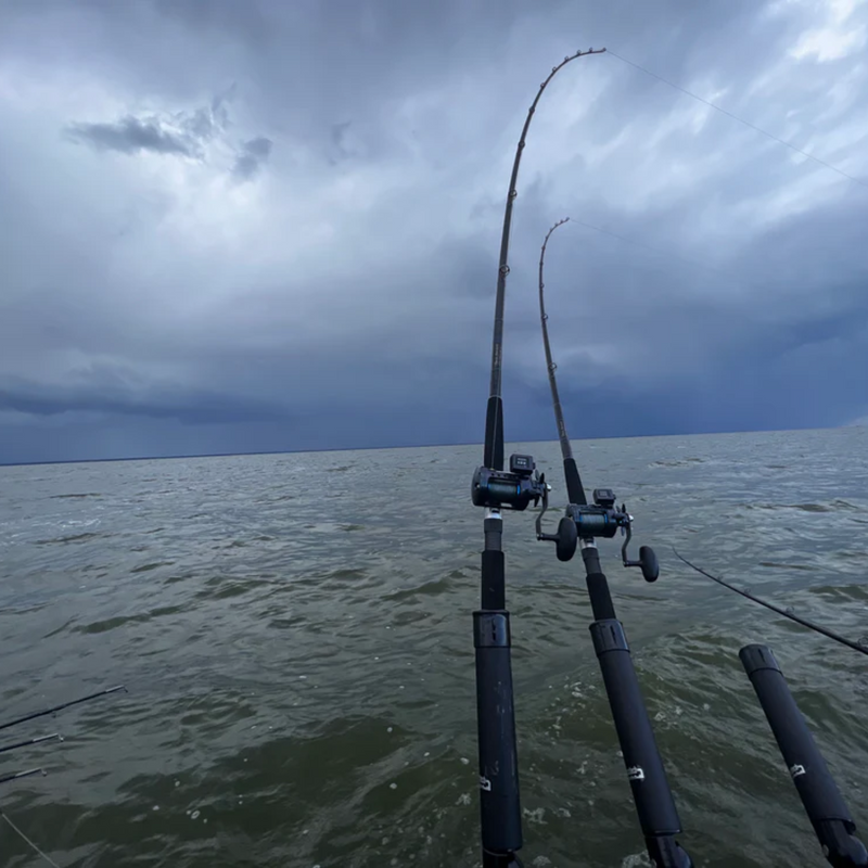 Doug Wegner Thorne Bros Custom Stealth Musky Rods *4 Weeks Build Time