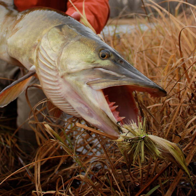 Thorne Bros Custom Rod and Tackle